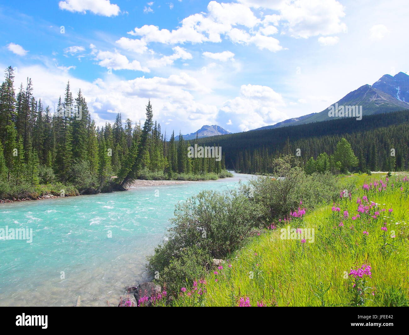 Banff national park, Bow river Stock Photo - Alamy