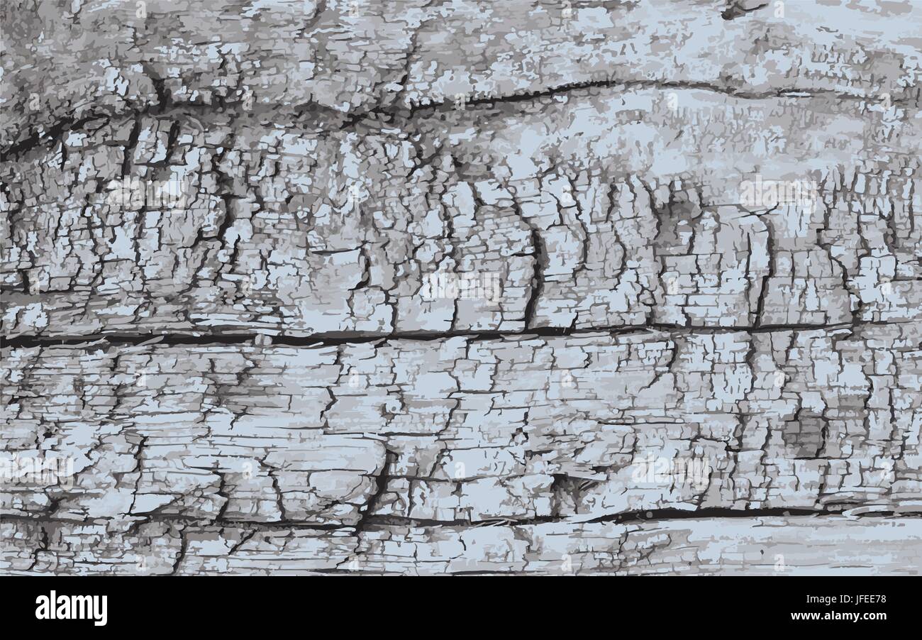 Texture of the old wooden beams. Vector illustration Stock Vector Image ...