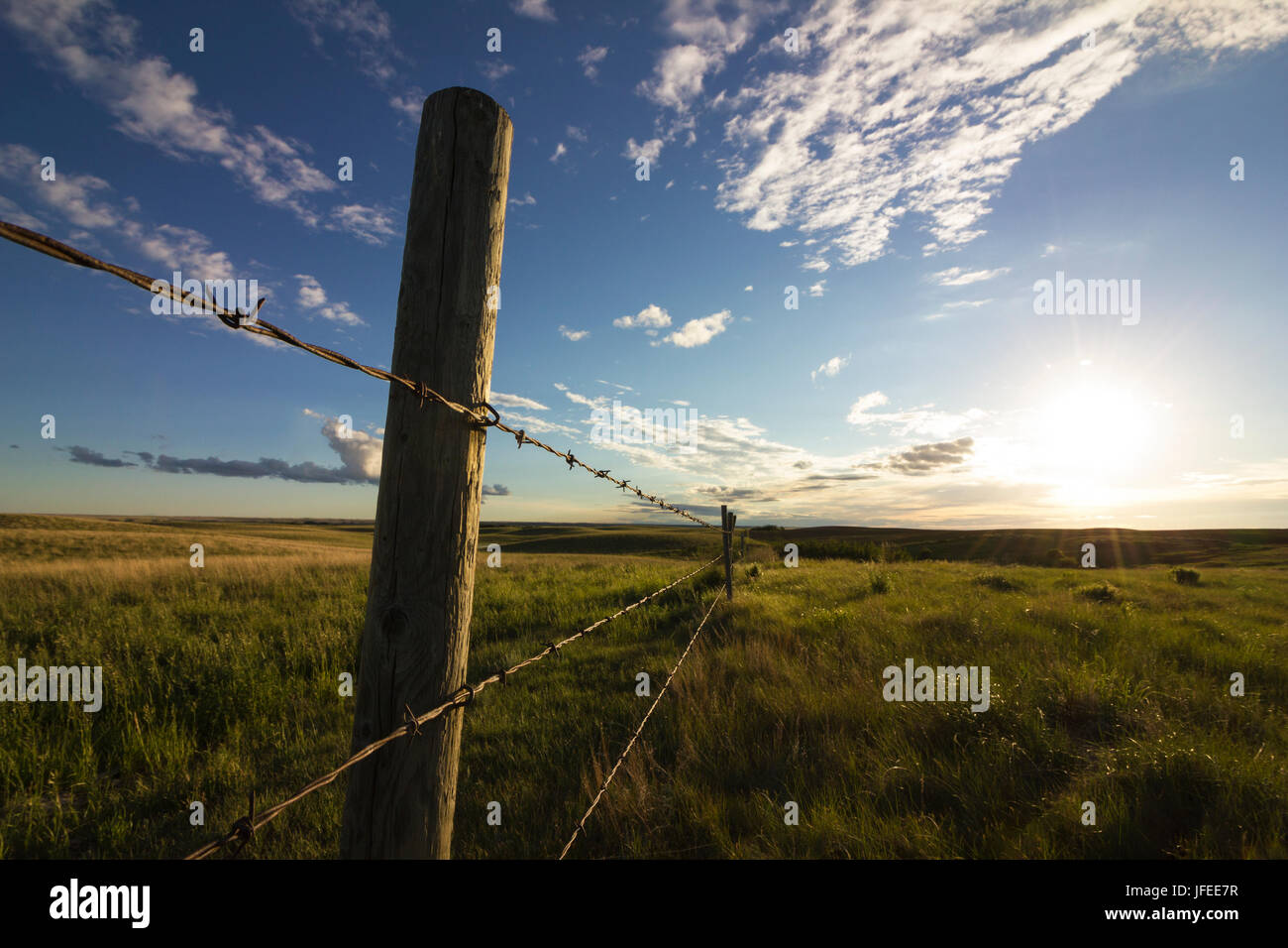 A fence line in rural Alberta Stock Photo - Alamy