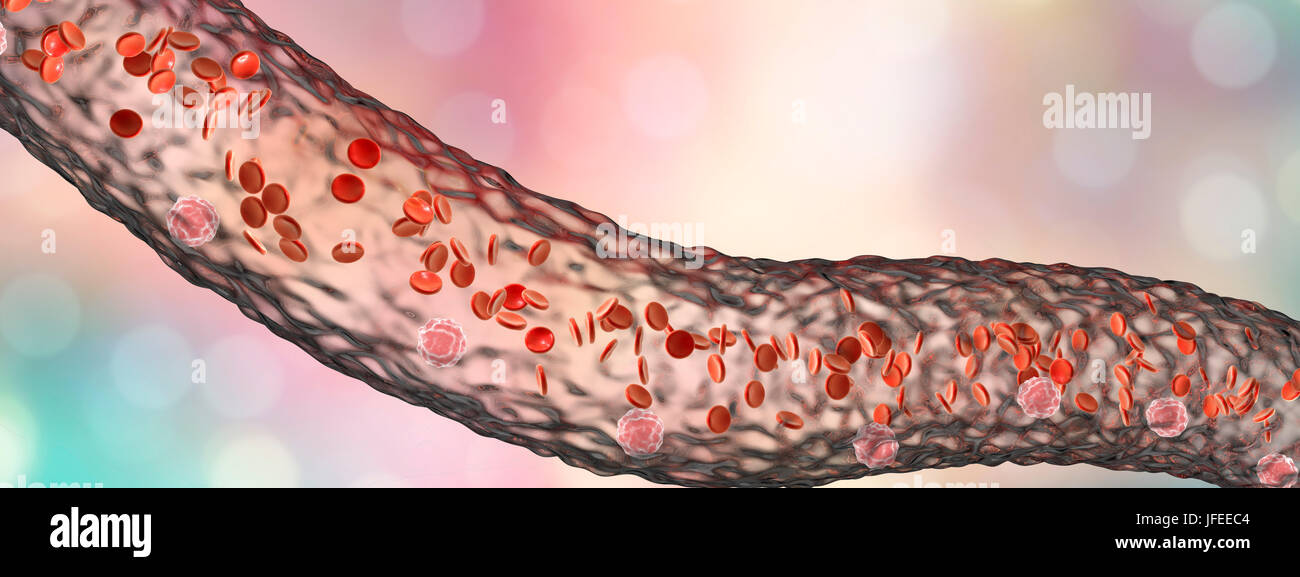 Blood vessel with blood cells, side view, computer illustration. Red ...