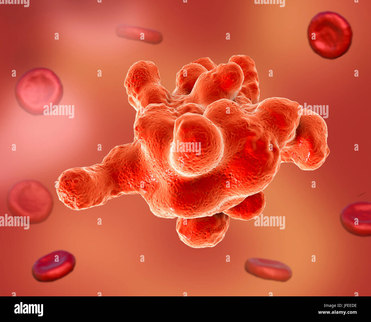 Entamoeba histolytica hi-res stock photography and images - Alamy