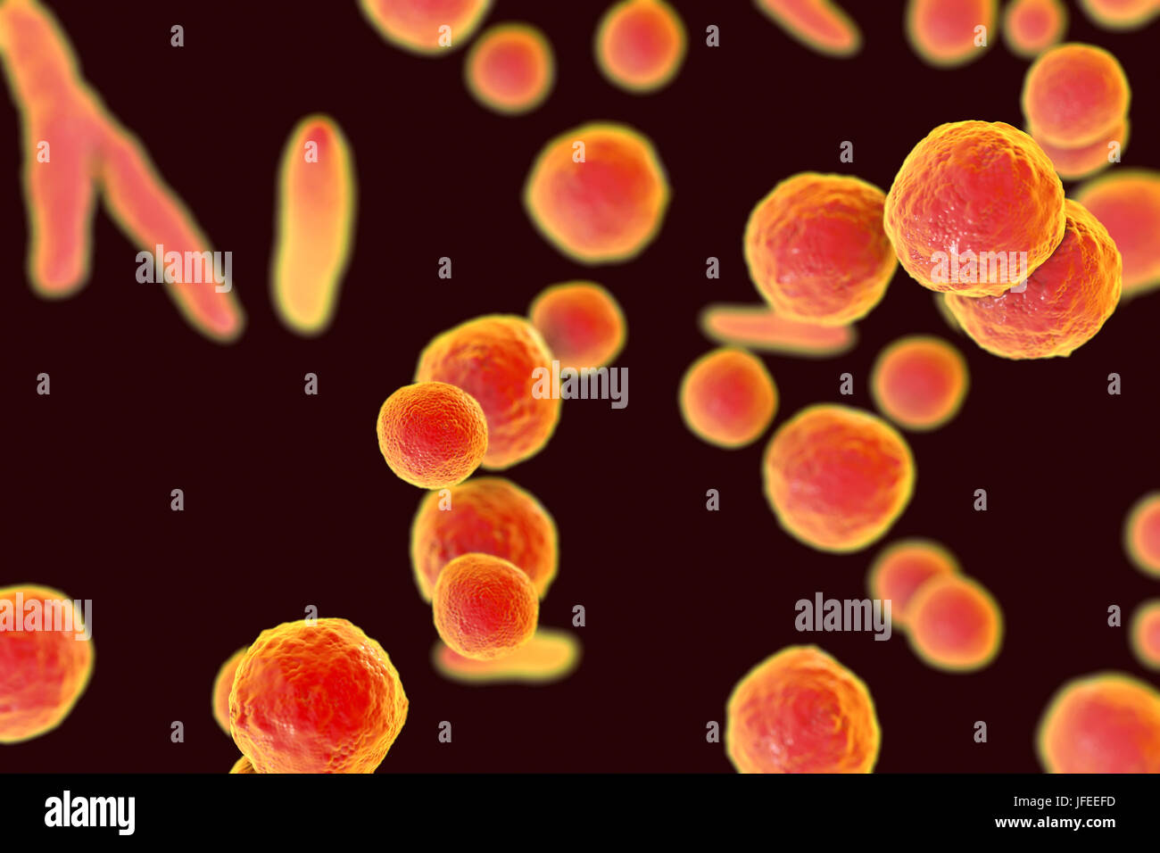 Mycoplasma pneumoniae hi-res stock photography and images - Alamy