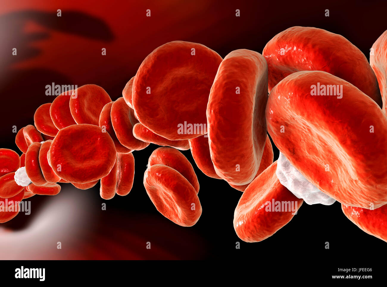 Blood vessel with blood cells, computer illustration. Red blood cells ...