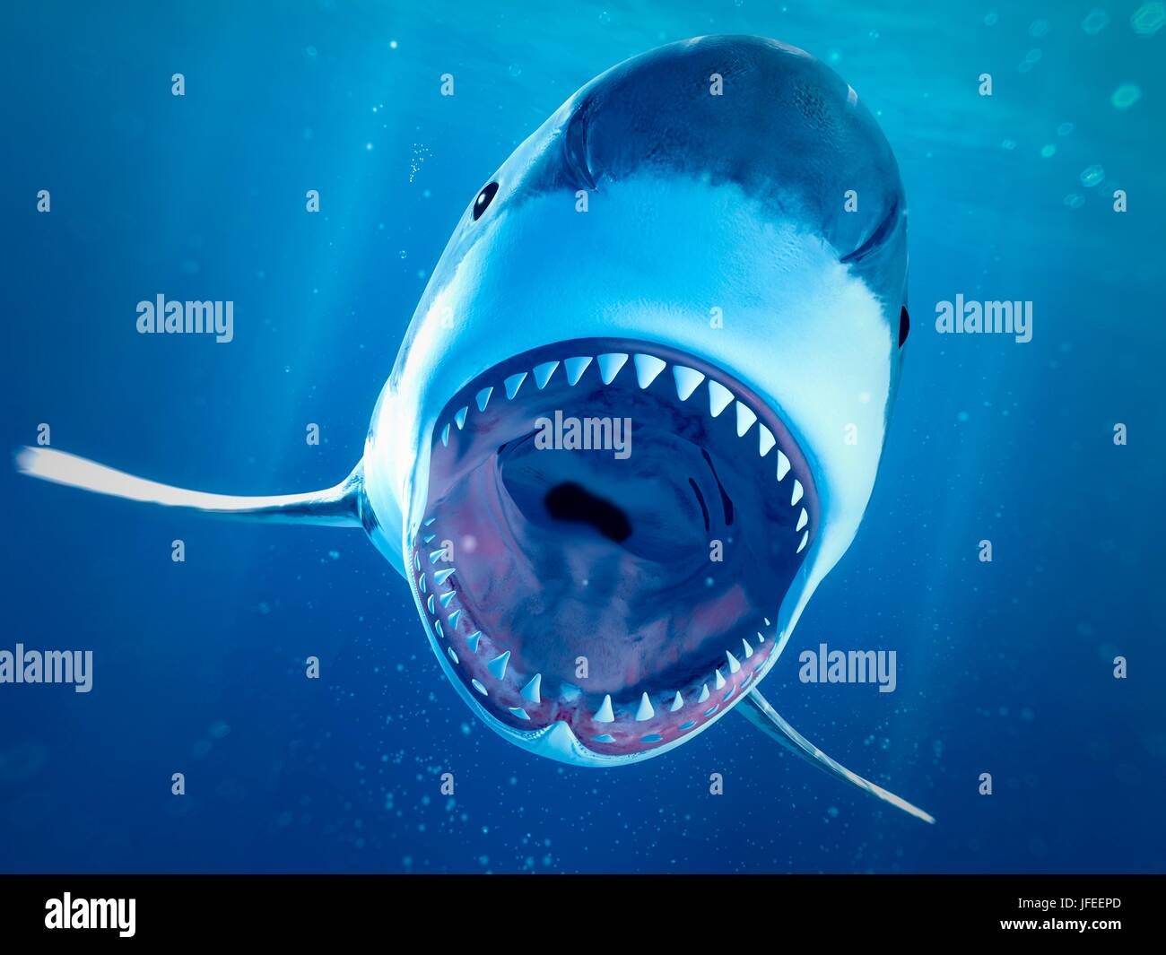Shark swimming underwater, illustration Stock Photo - Alamy