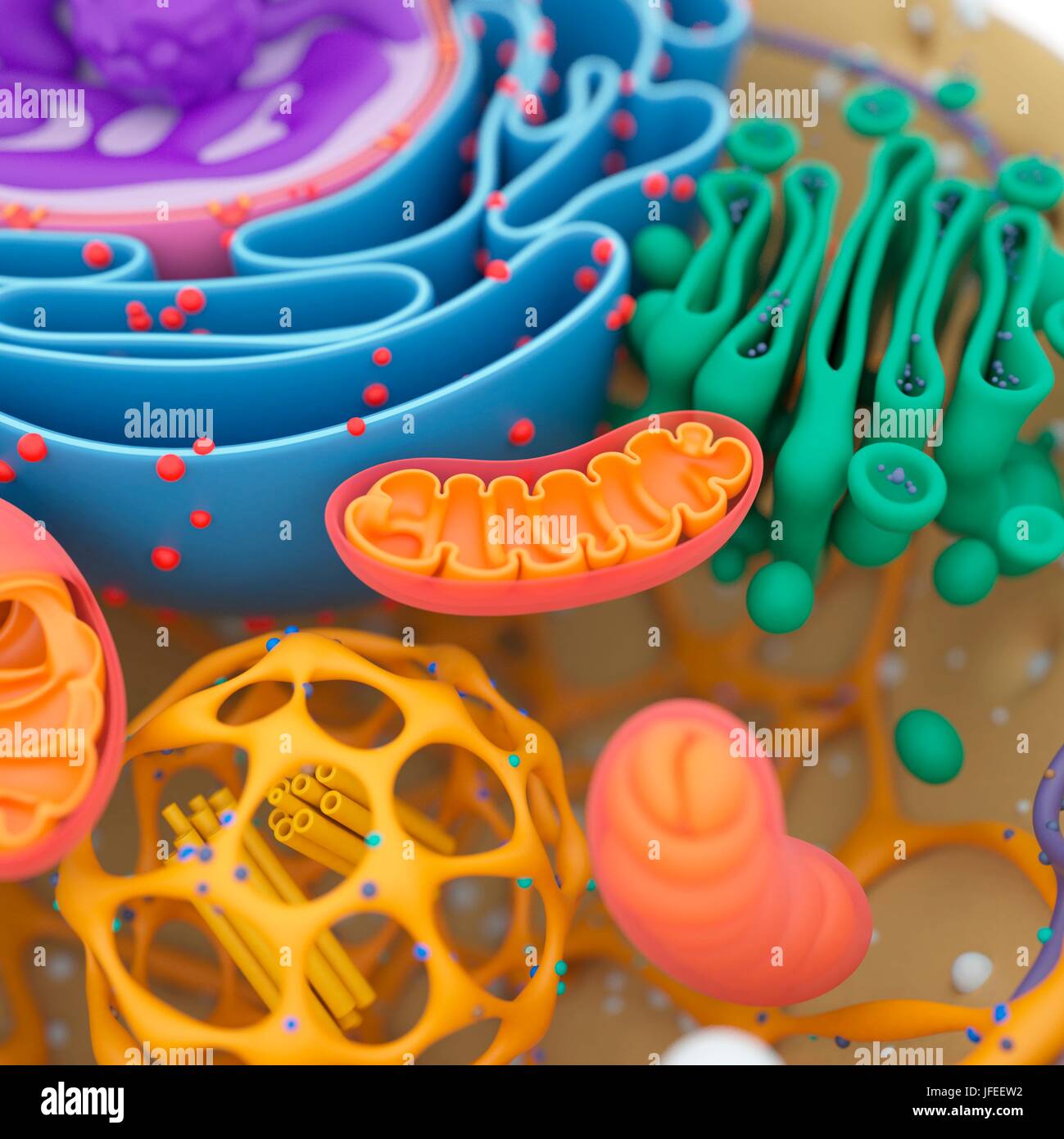 Cell structure detail, illustration Stock Photo - Alamy