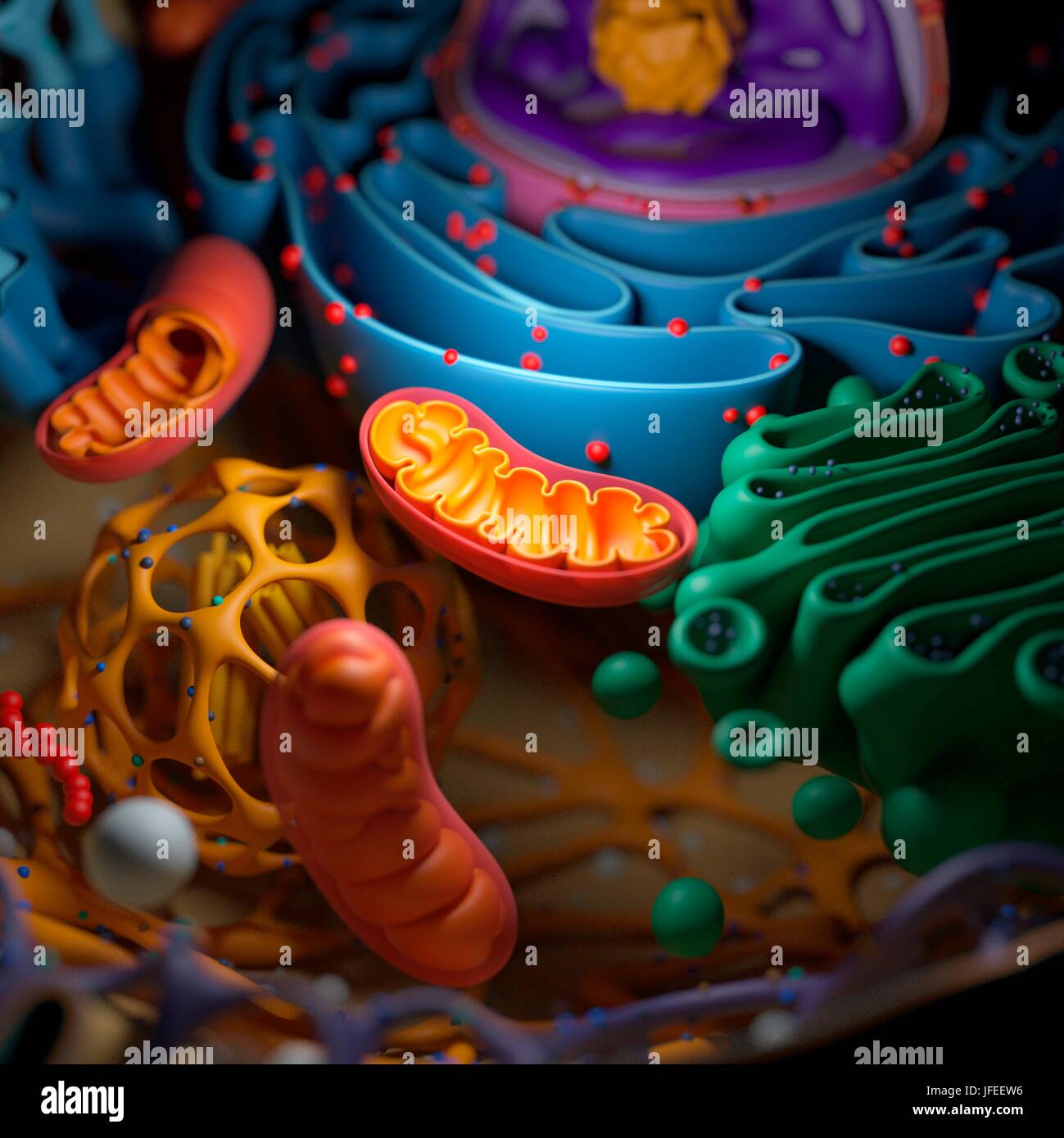 Cell structure detail, illustration Stock Photo - Alamy