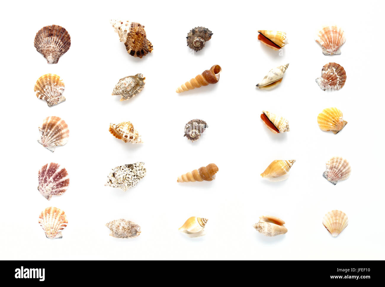 Shellfish assortment hi-res stock photography and images - Alamy