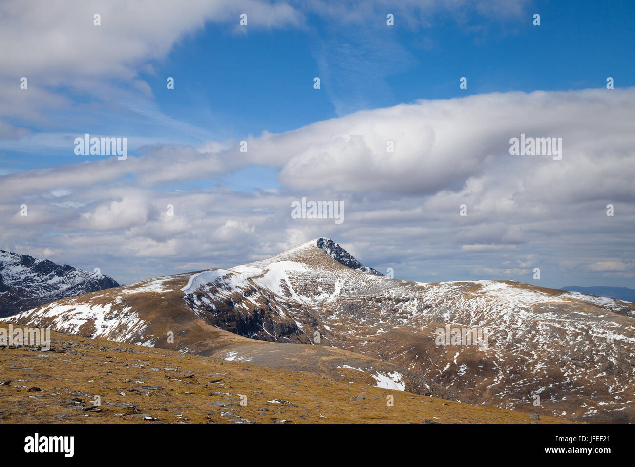 Sgurr Mor mountain in the Fannaichs Scottish Highlands, Scotland Stock ...