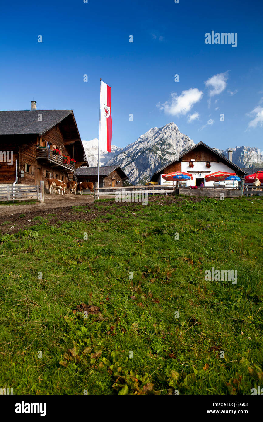Austria, Tyrol, Walder alp Stock Photo - Alamy