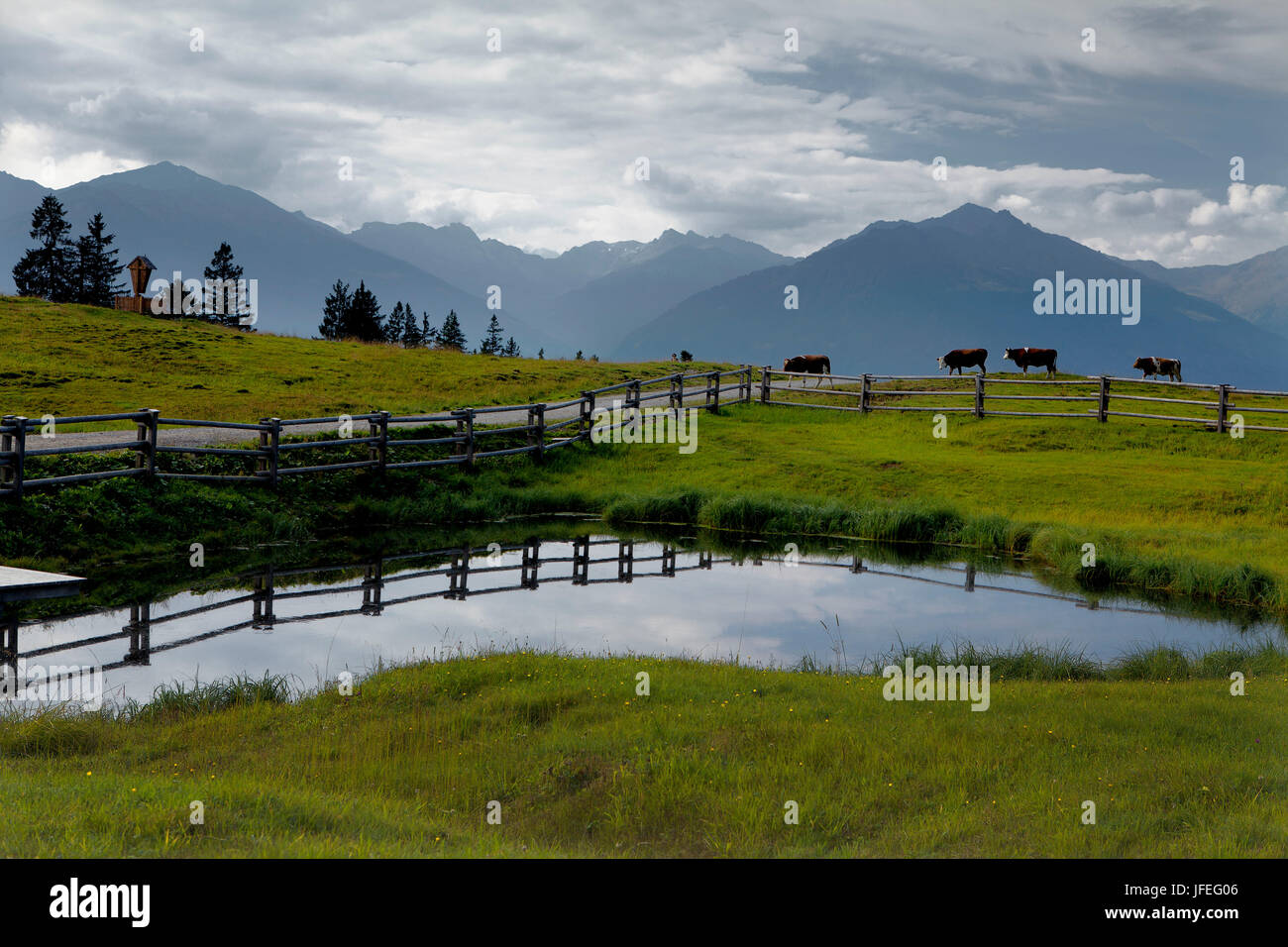 Austria, Tyrol, Walder alp Stock Photo - Alamy
