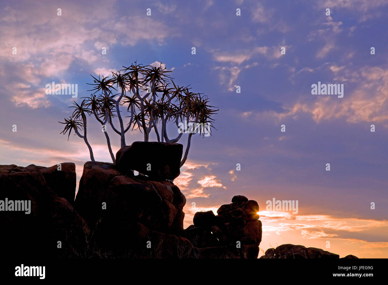 Regenarm hi-res stock photography and images - Alamy