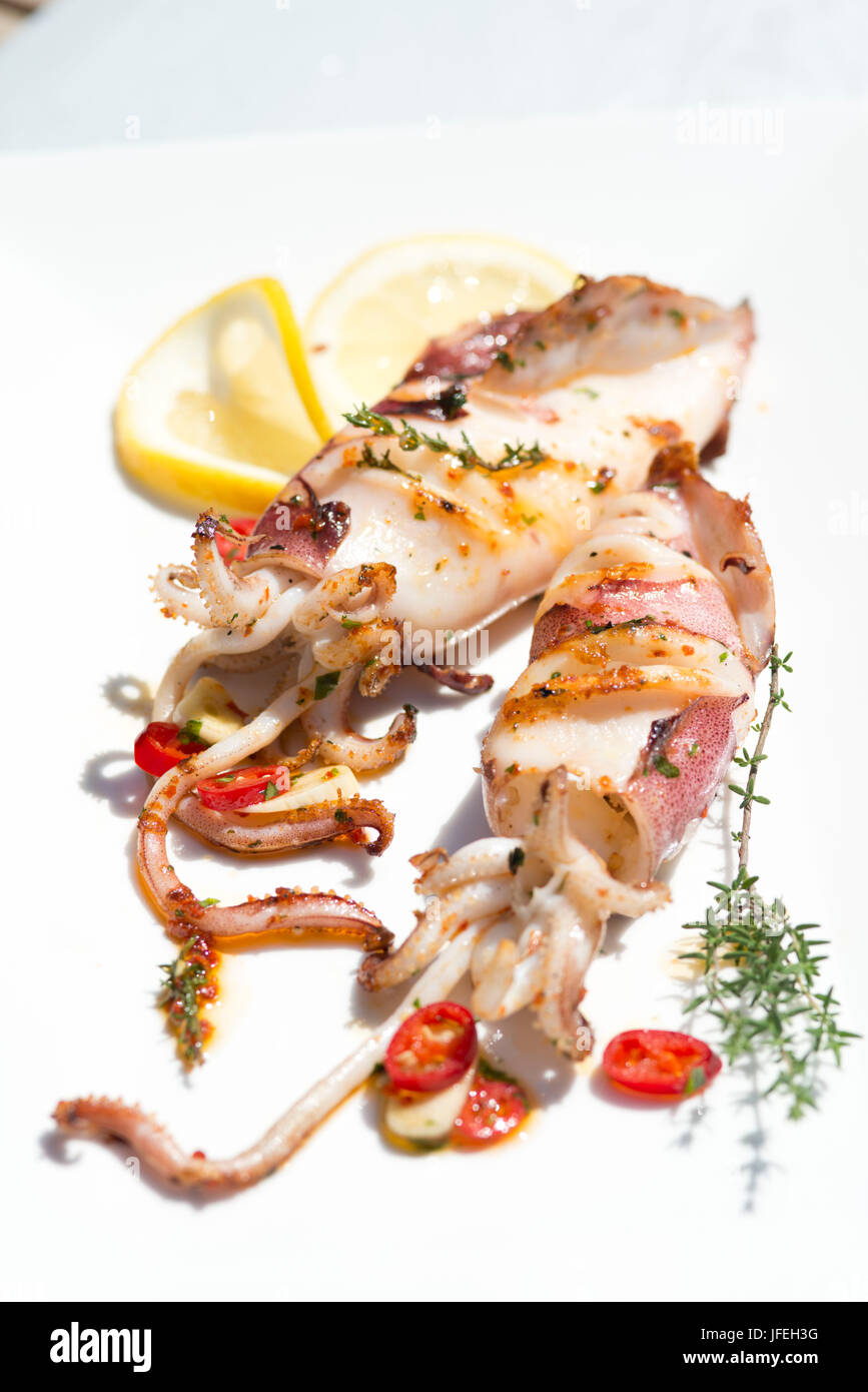 Kalmare hi-res stock photography and images - Alamy