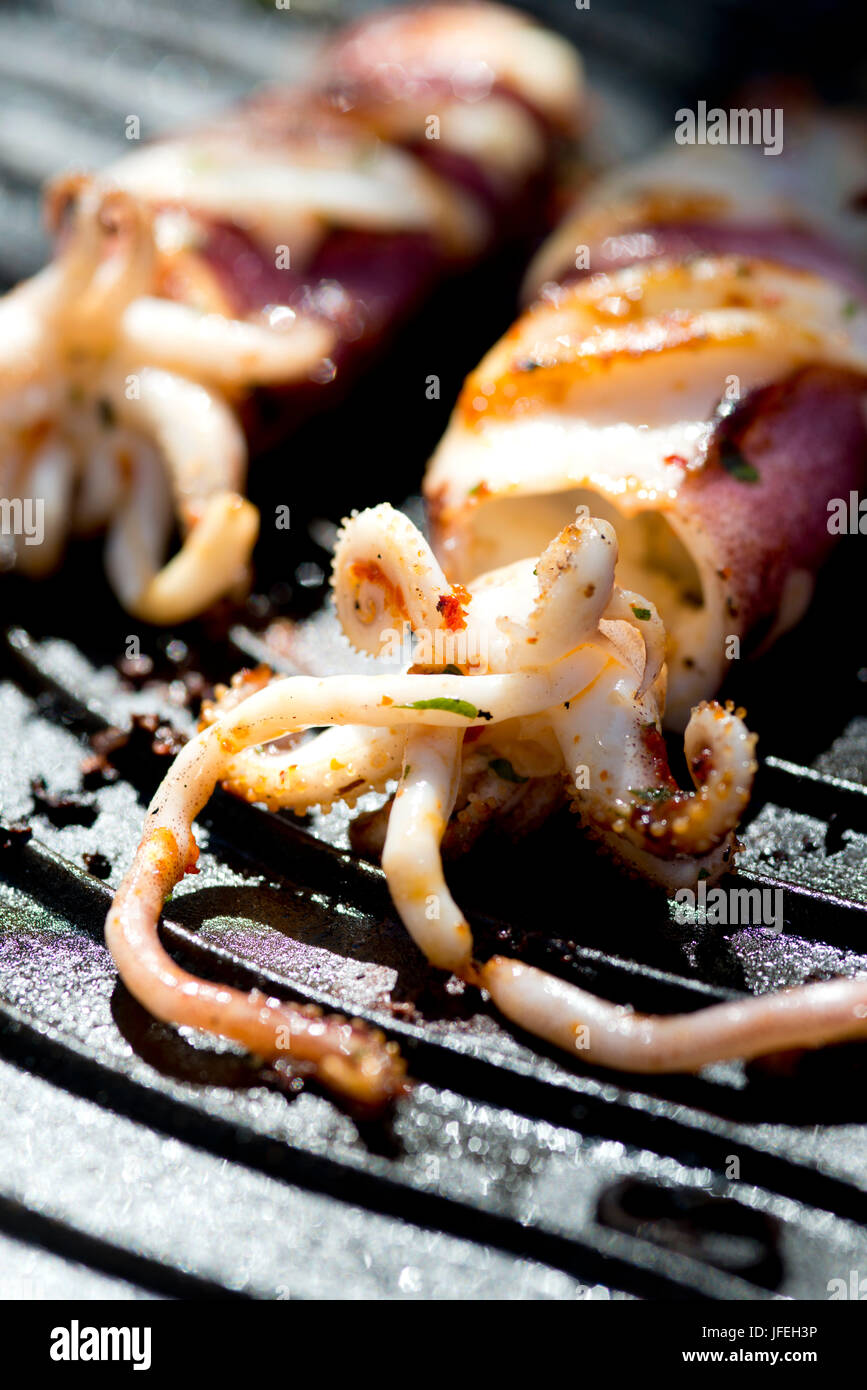 Kalmare hi-res stock photography and images - Alamy