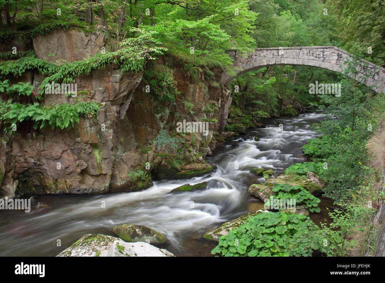Spinster bridge in the Bodetal, Thale, Harz, Saxony-Anhalt, Central ...