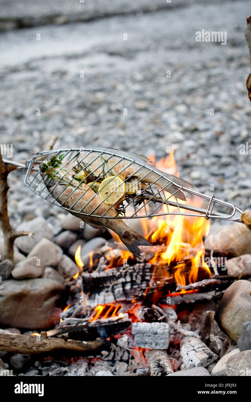 Bass fish campfire hi-res stock photography and images - Alamy