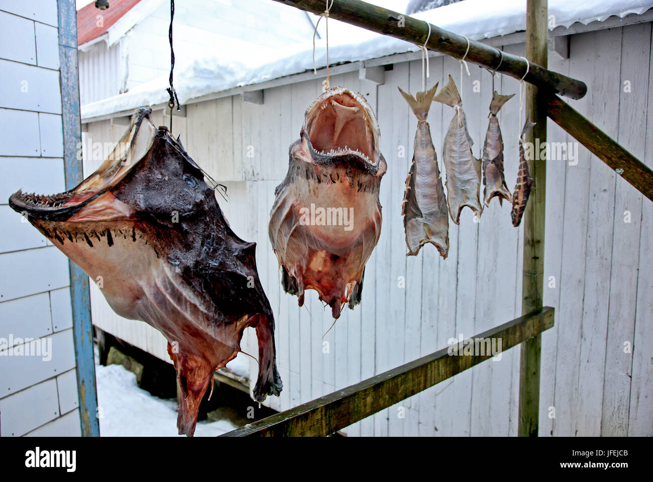 Norway, pure, fish Stock Photo - Alamy