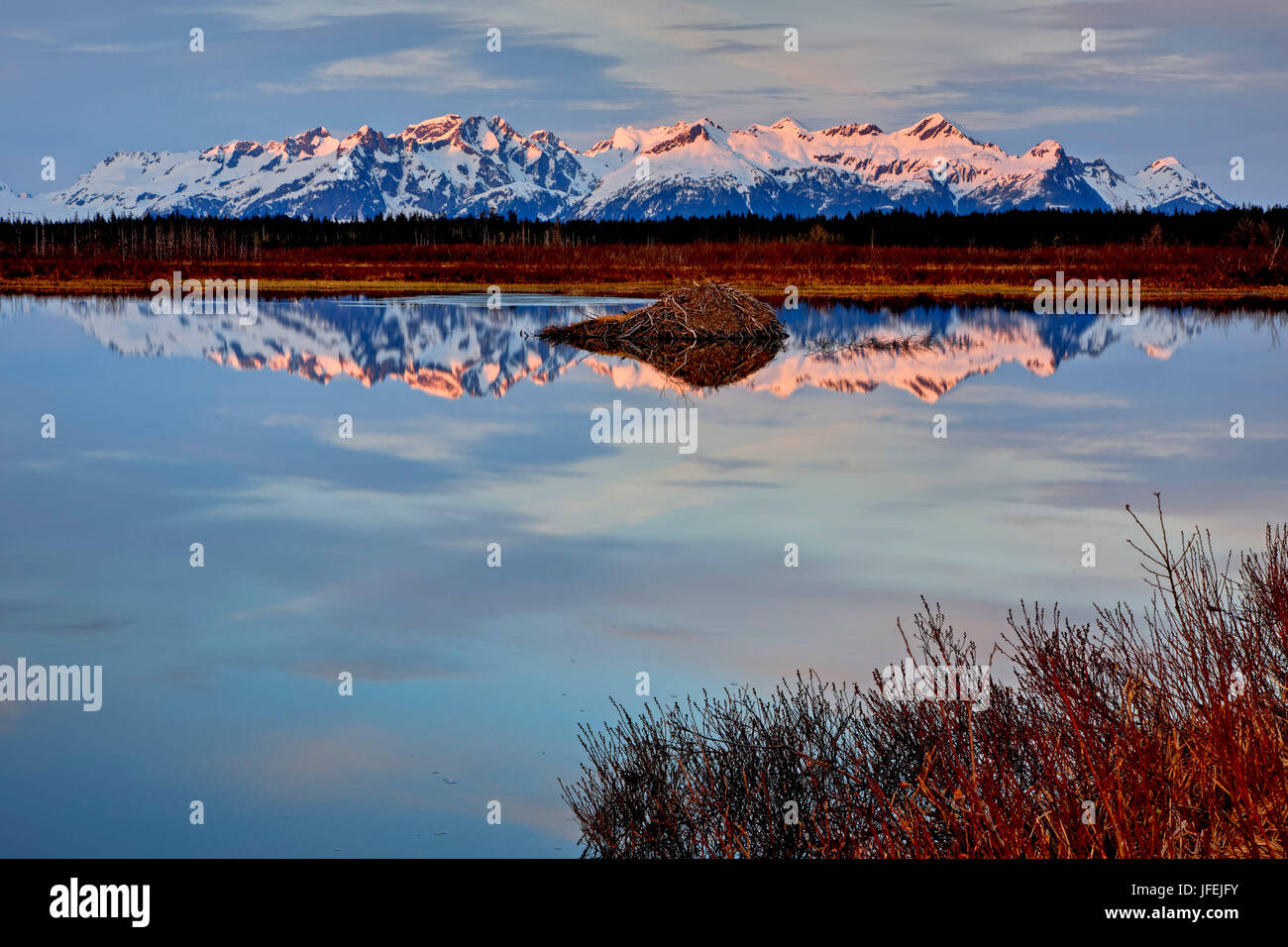 North America, the USA, Alaska, Copper River delta, Chugach Mountains ...