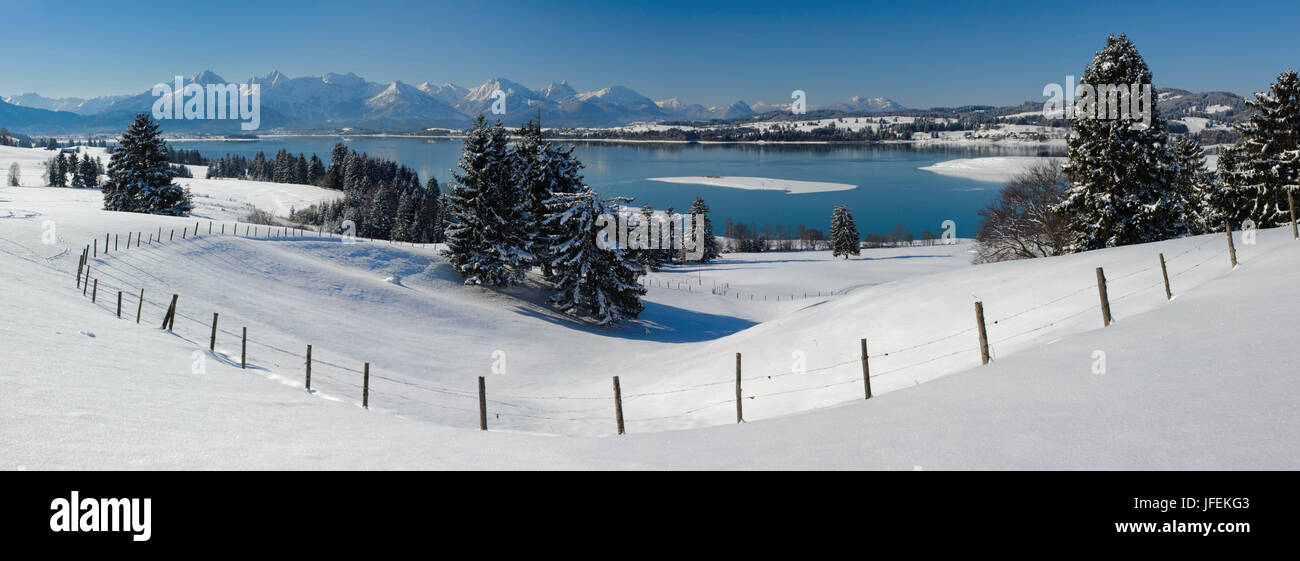 Panorama scenery in Bavaria in the Forggensee Forggensee Stock Photo ...