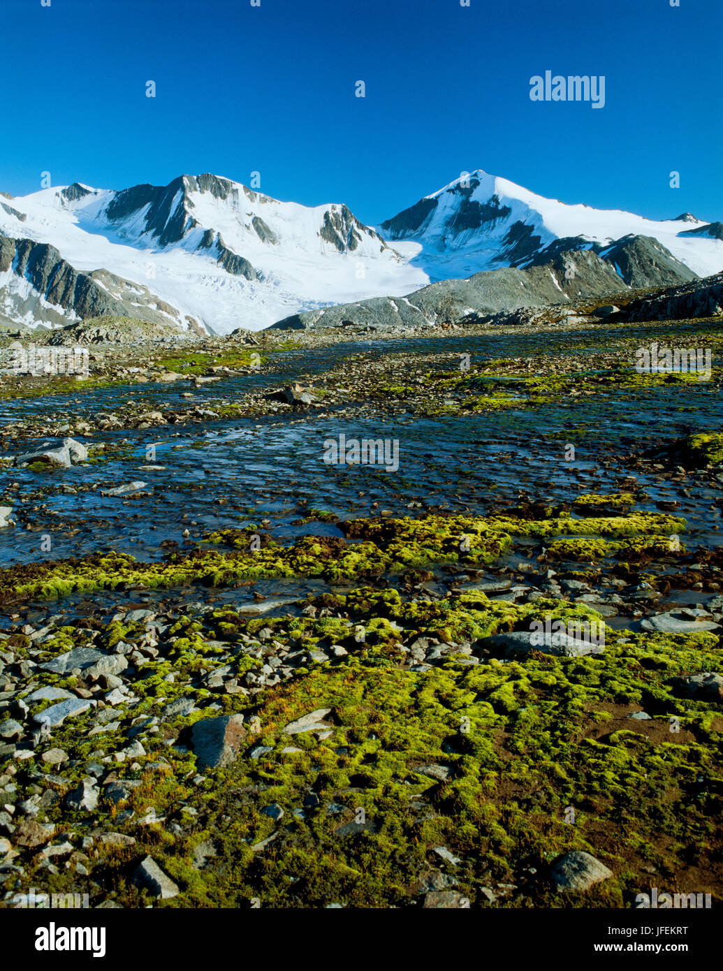 Similaun glacier hi-res stock photography and images - Alamy