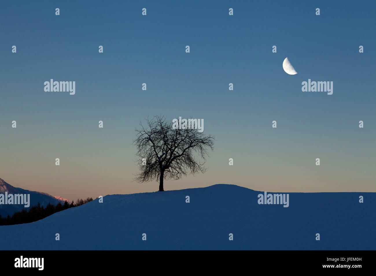 Winter scenery with tree (M Stock Photo - Alamy