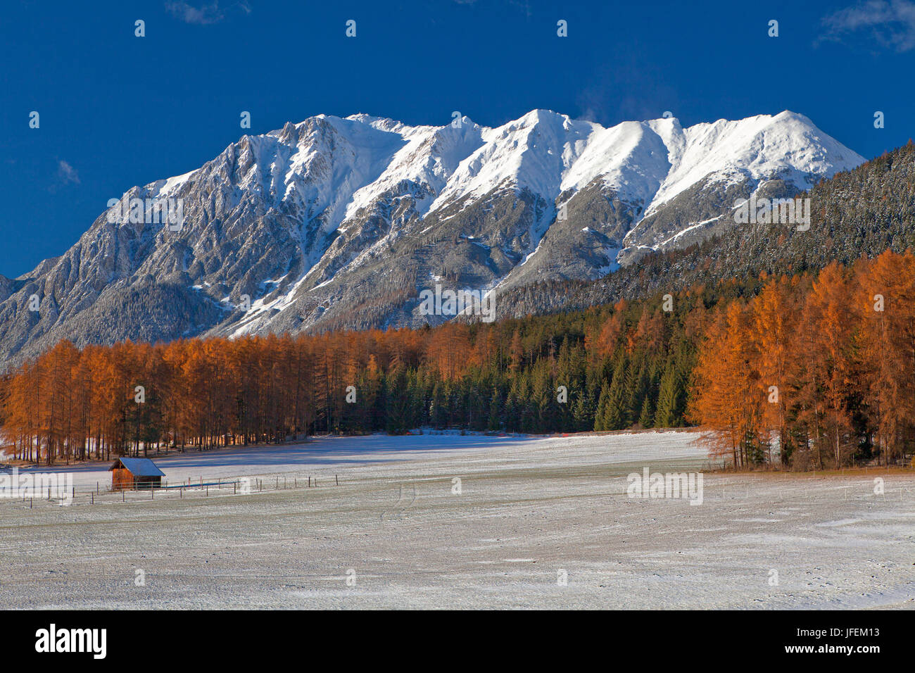 Austria tyrol autumn forest obsteig hi-res stock photography and images ...