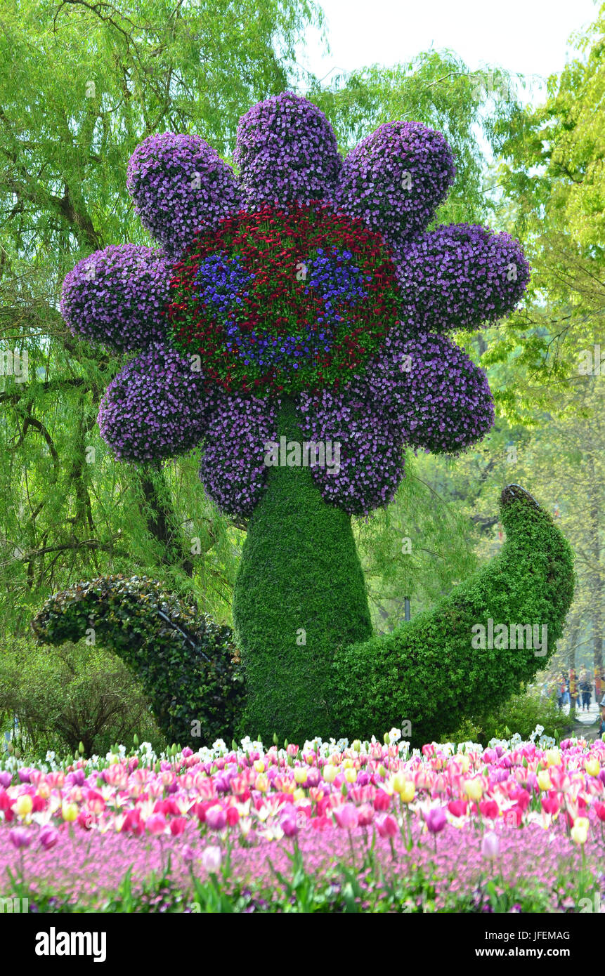 Botany park flower figures hi-res stock photography and images - Alamy
