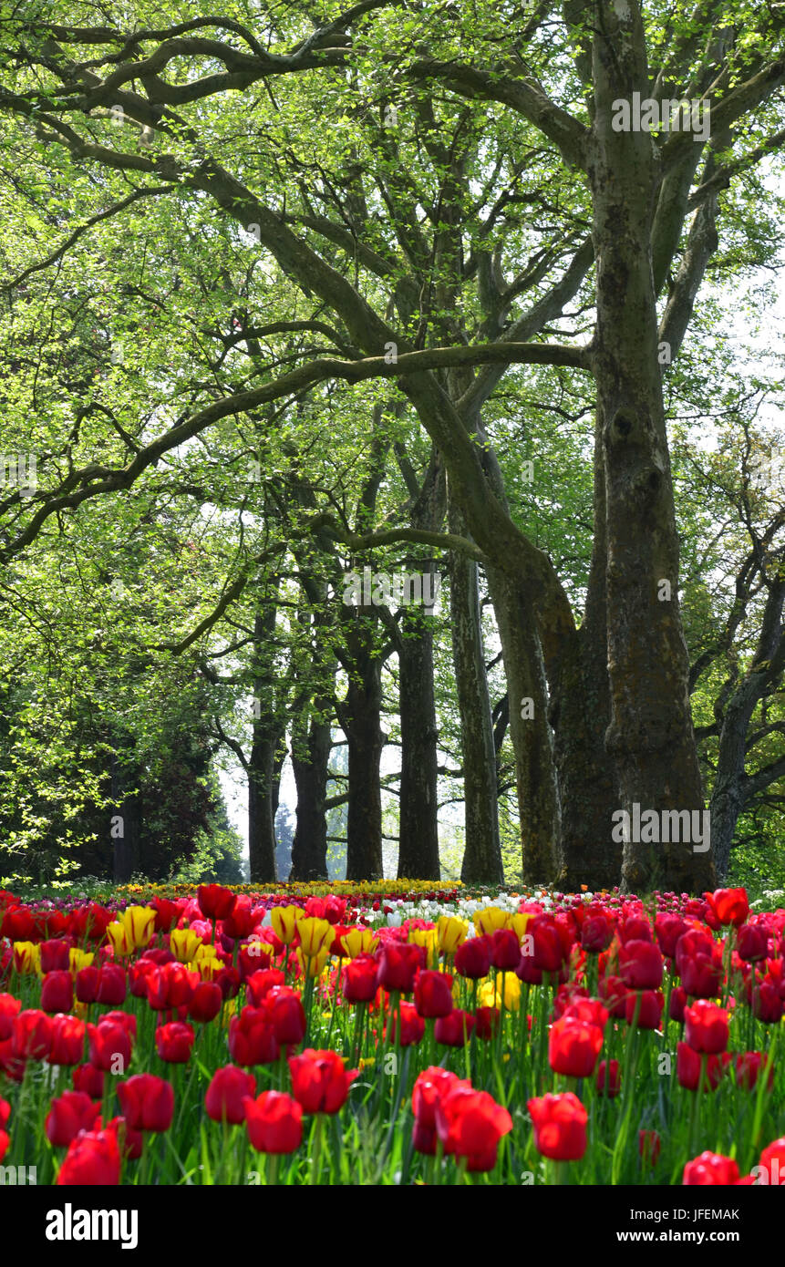 Botany park hi-res stock photography and images - Alamy