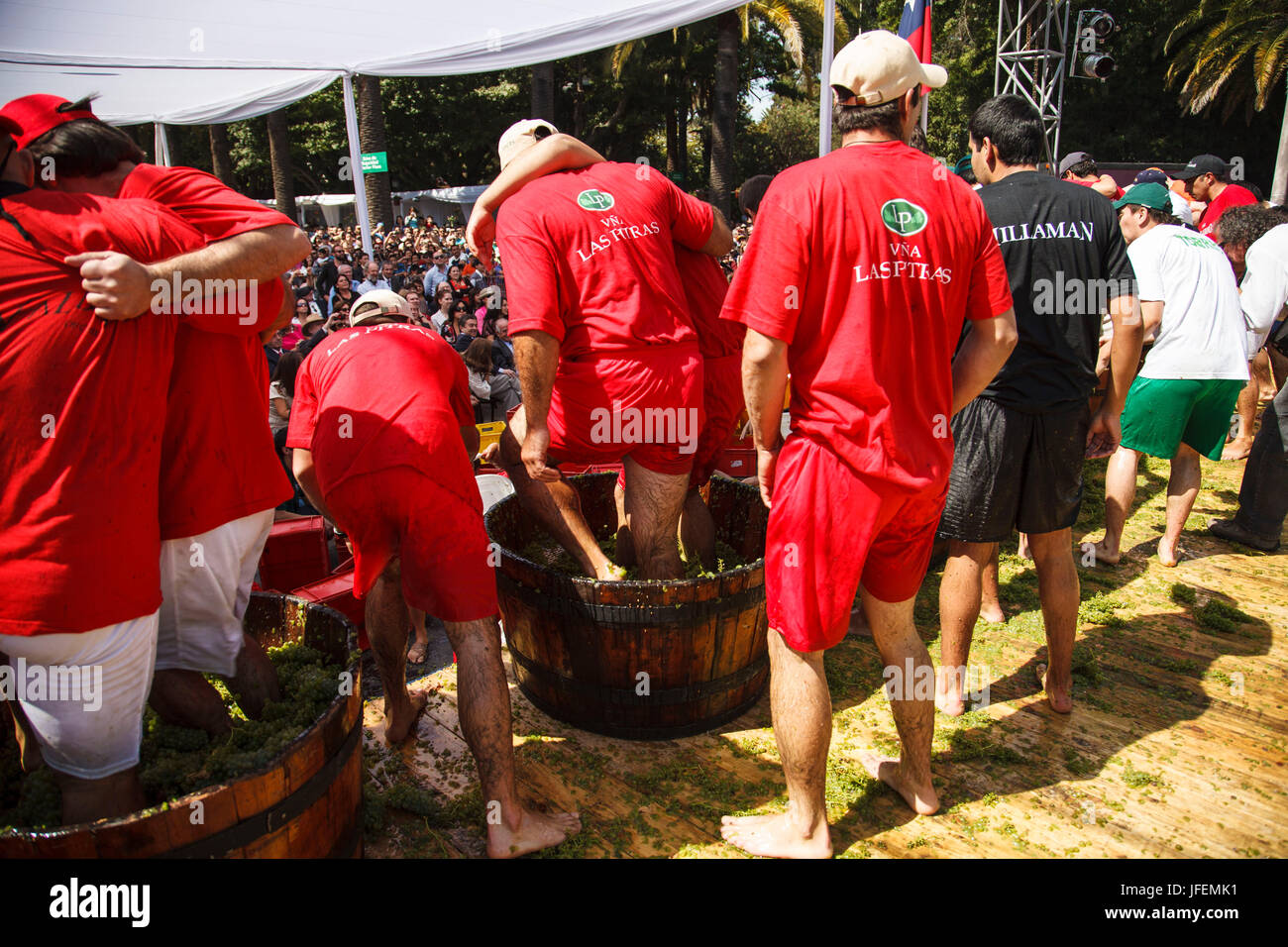 Chile, Valle de Curico, wine, wine feast, Traubenstampf competition ...