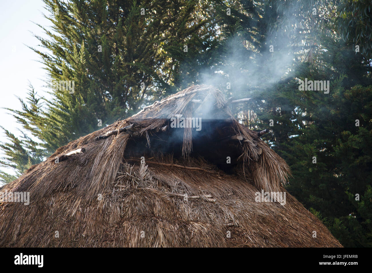 Mapuche chile ruka hi-res stock photography and images - Alamy