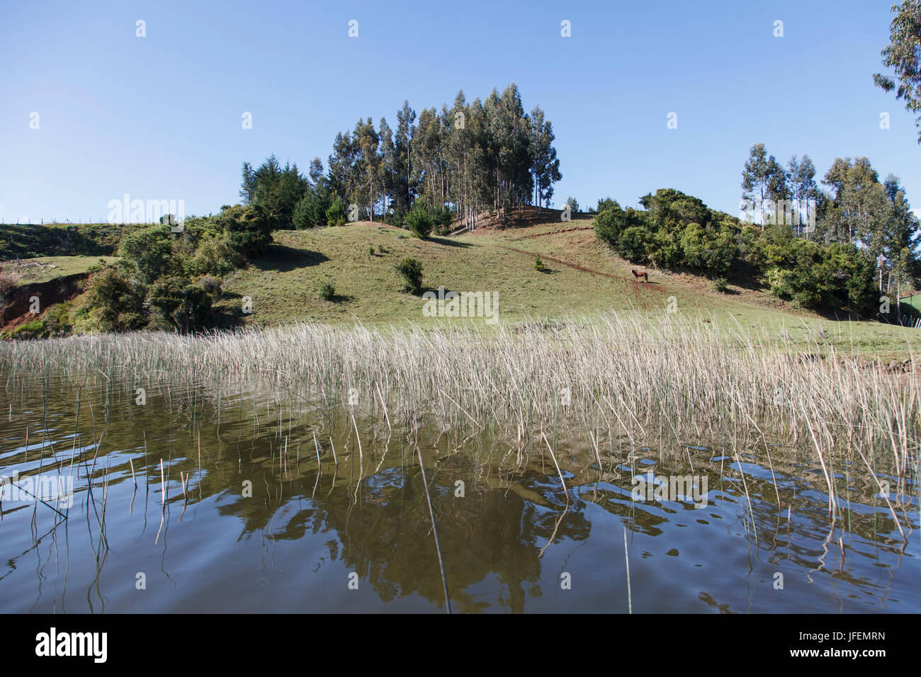 Budi lake chile hi-res stock photography and images - Alamy