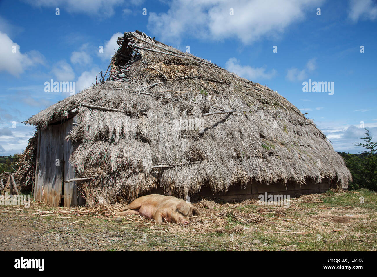 Mapuche house hi-res stock photography and images - Alamy