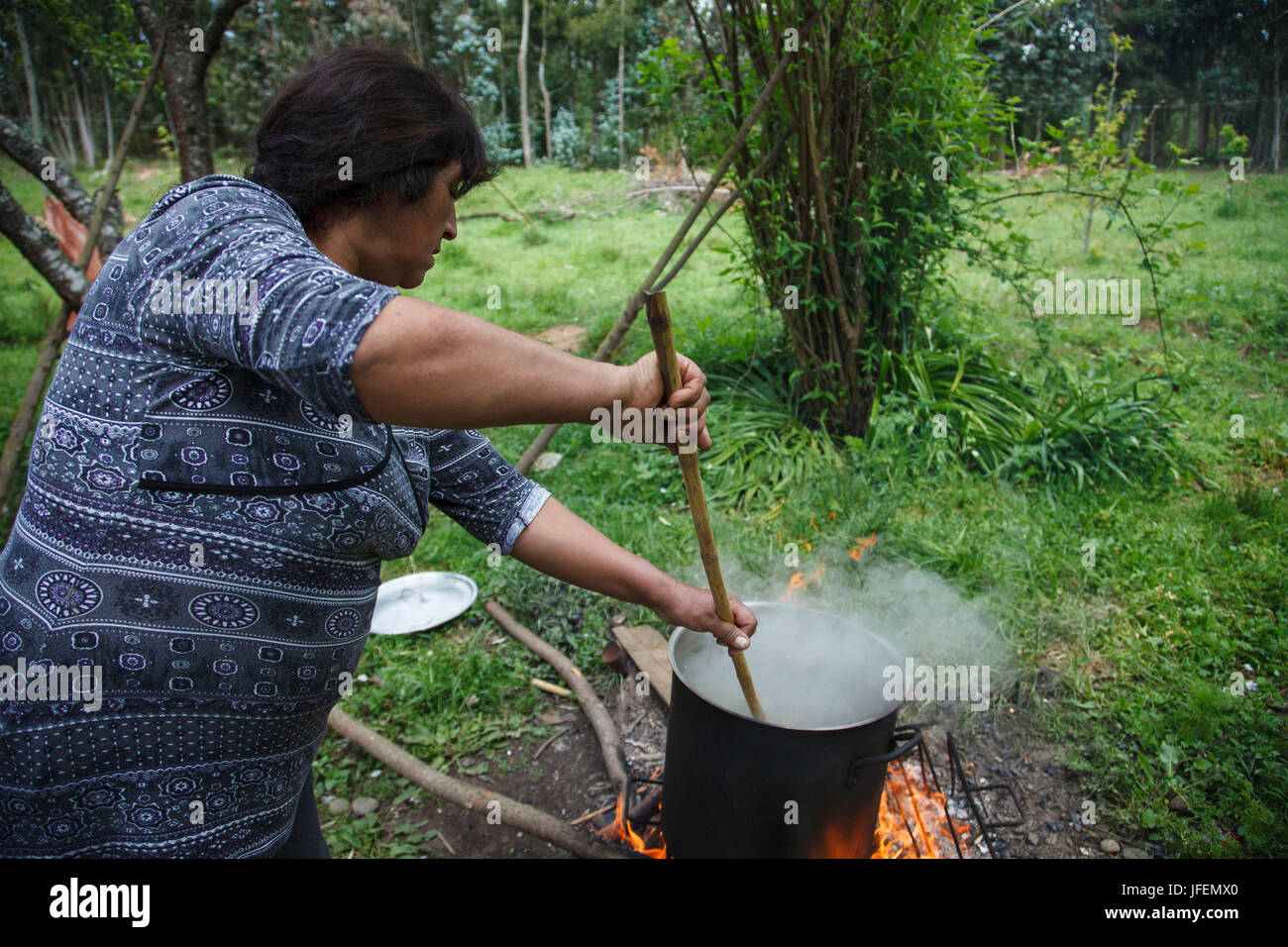 Chile, Araucania, Temuco, Mapuche, Fairly Trade, textiles, green ...