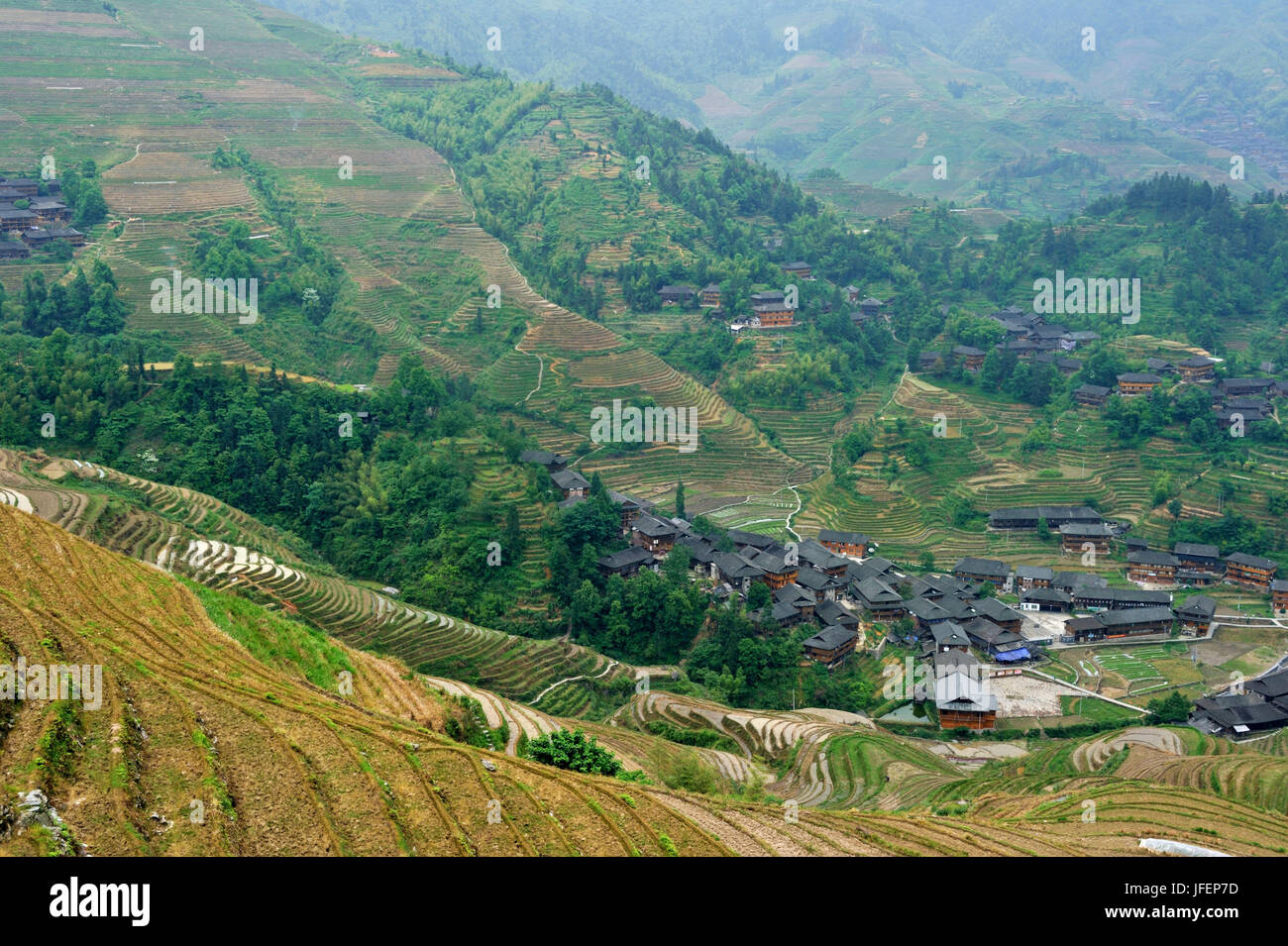 China, Guangxi Province, rice terraces at Longji around Longsheng ...