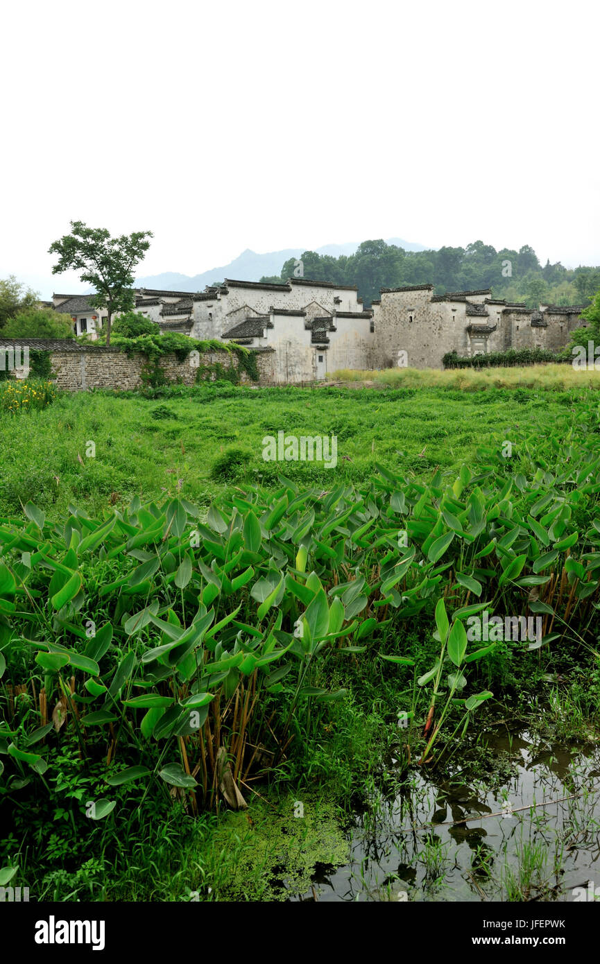 China, Anhui province, Hongcun village, UNESCO World heritage Stock ...