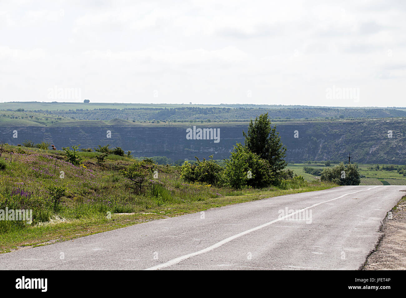 Road parting to a distance. Country road with a big tree beside Stock ...