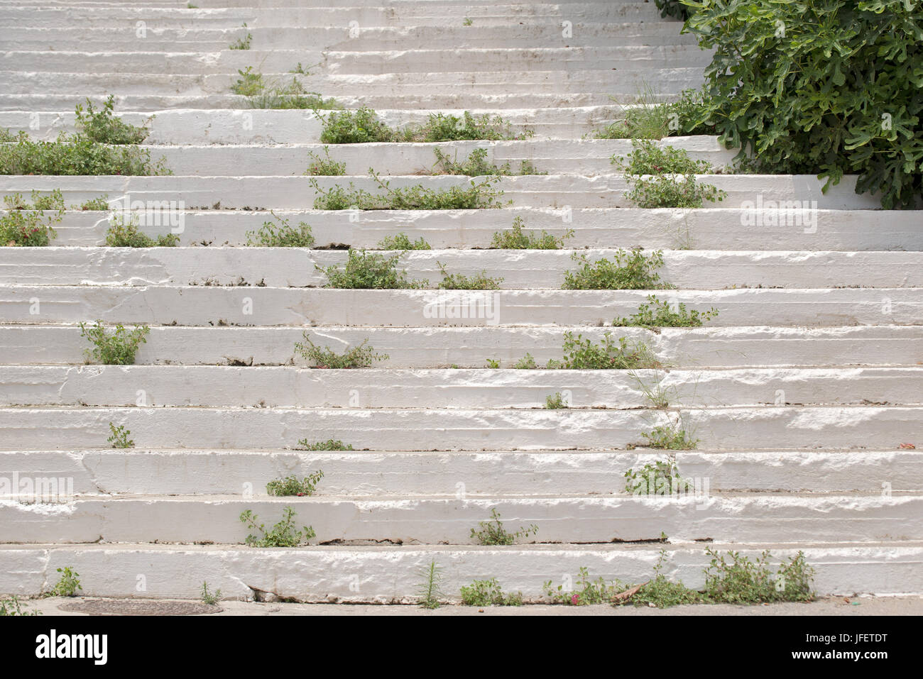 white stairs overgrown with moss and grass Stock Photo - Alamy