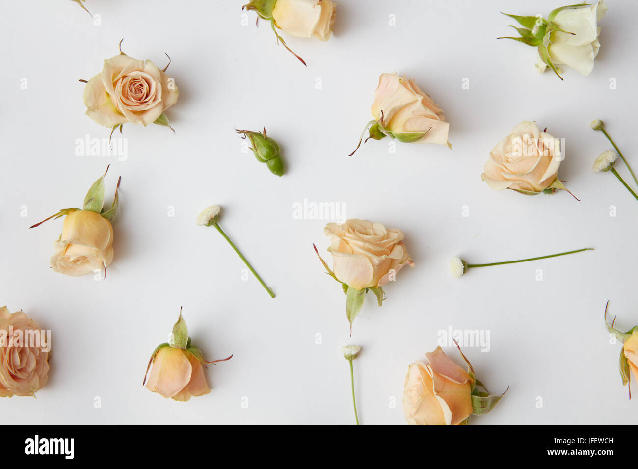 Assorted roses heads Stock Photo - Alamy