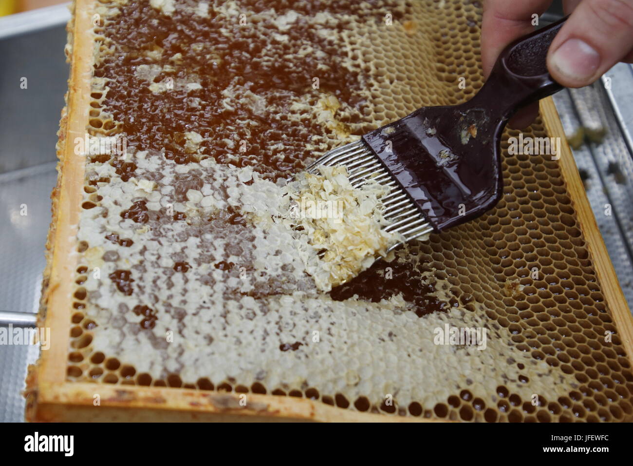 Honeycomb caps hi-res stock photography and images - Alamy