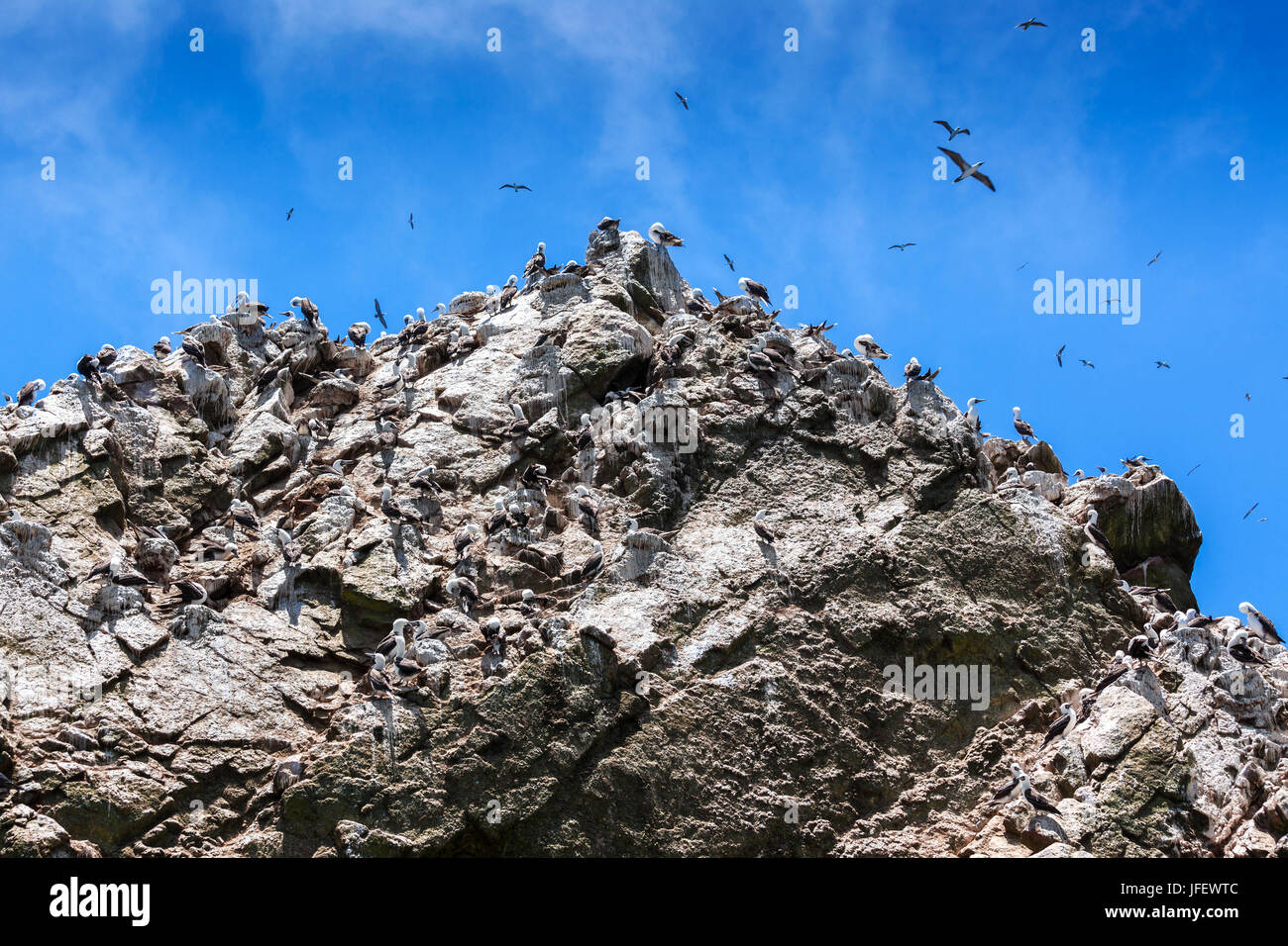 the rocks of Ballestas Islands Stock Photo - Alamy