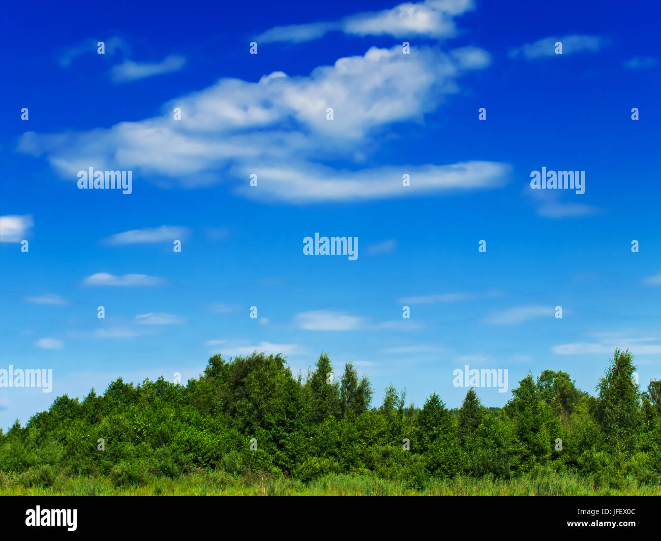 Summer scenery hi-res stock photography and images - Alamy