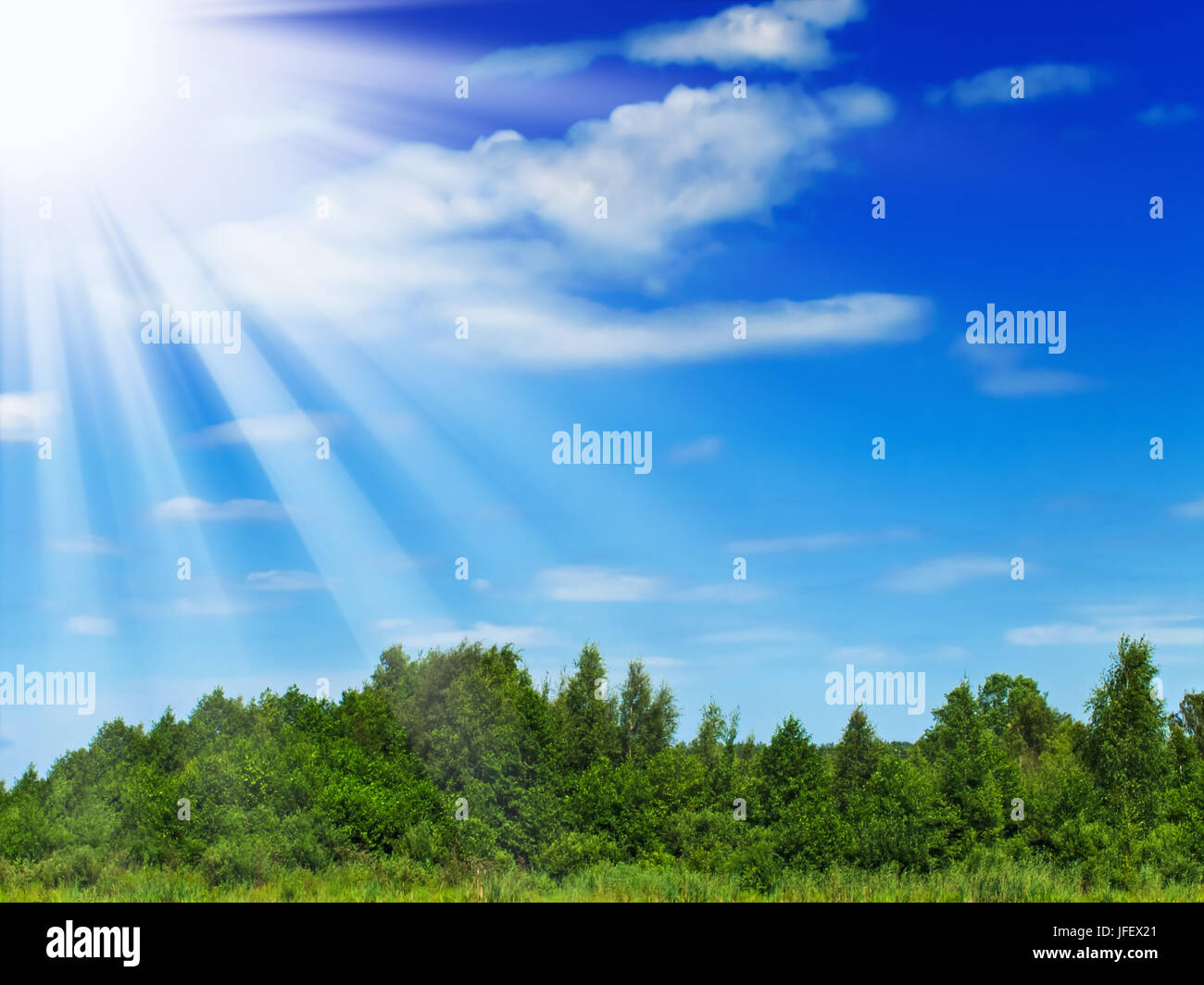 Summer scenery hi-res stock photography and images - Alamy