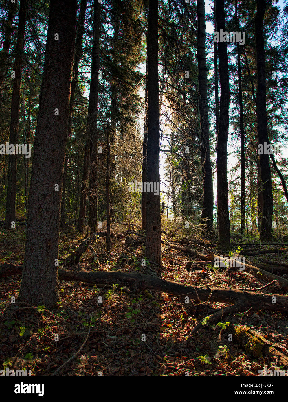 Letting light in hi-res stock photography and images - Alamy