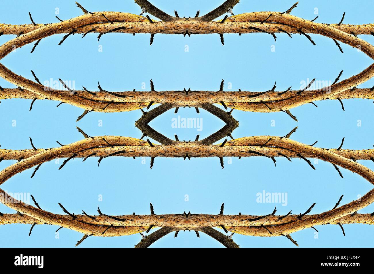 devoured around each other Stock Photo - Alamy