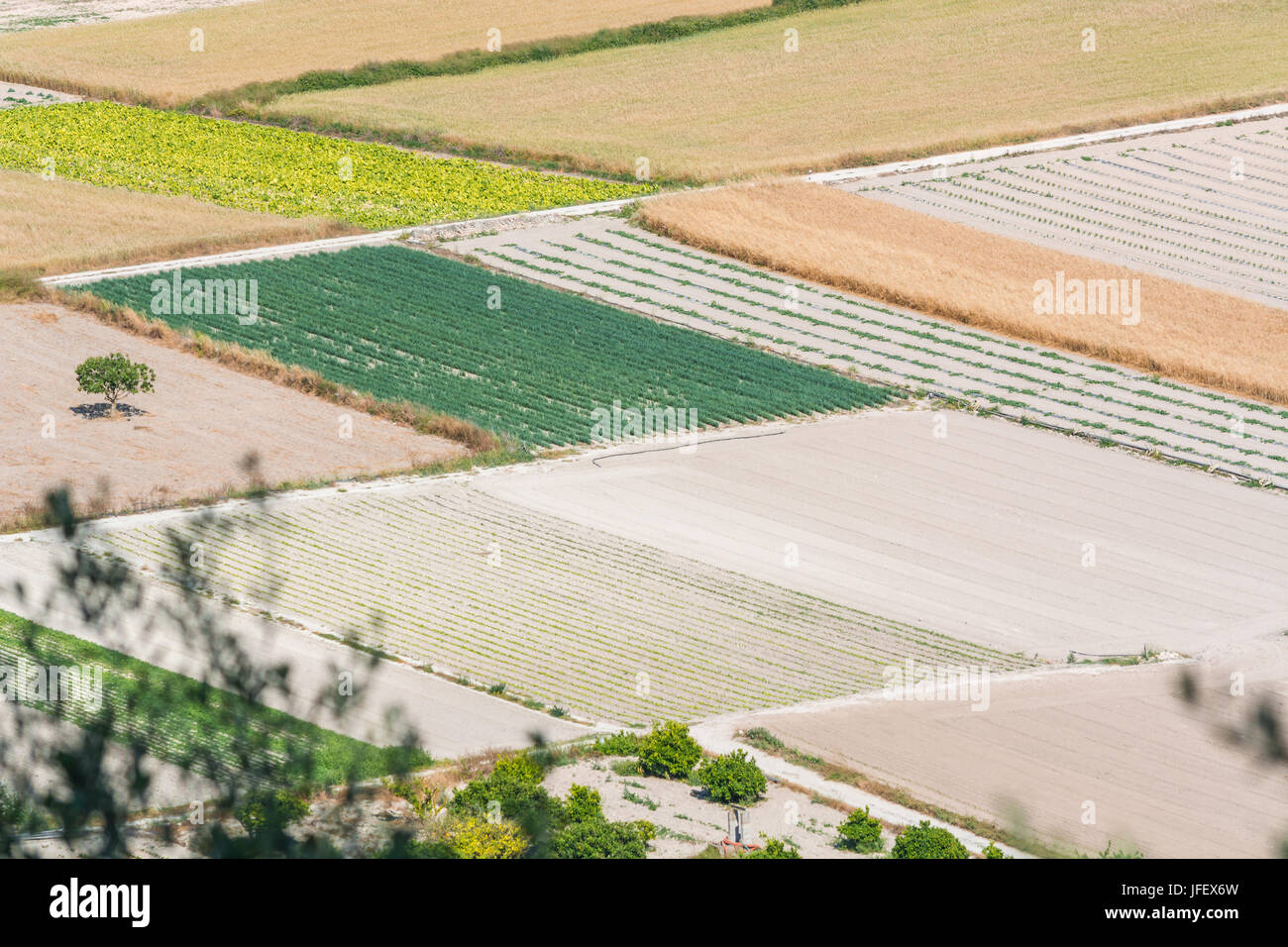 Various fields hi-res stock photography and images - Alamy