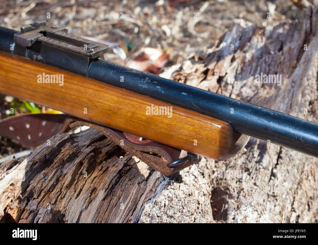 Rifle with leather sling hi-res stock photography and images - Alamy
