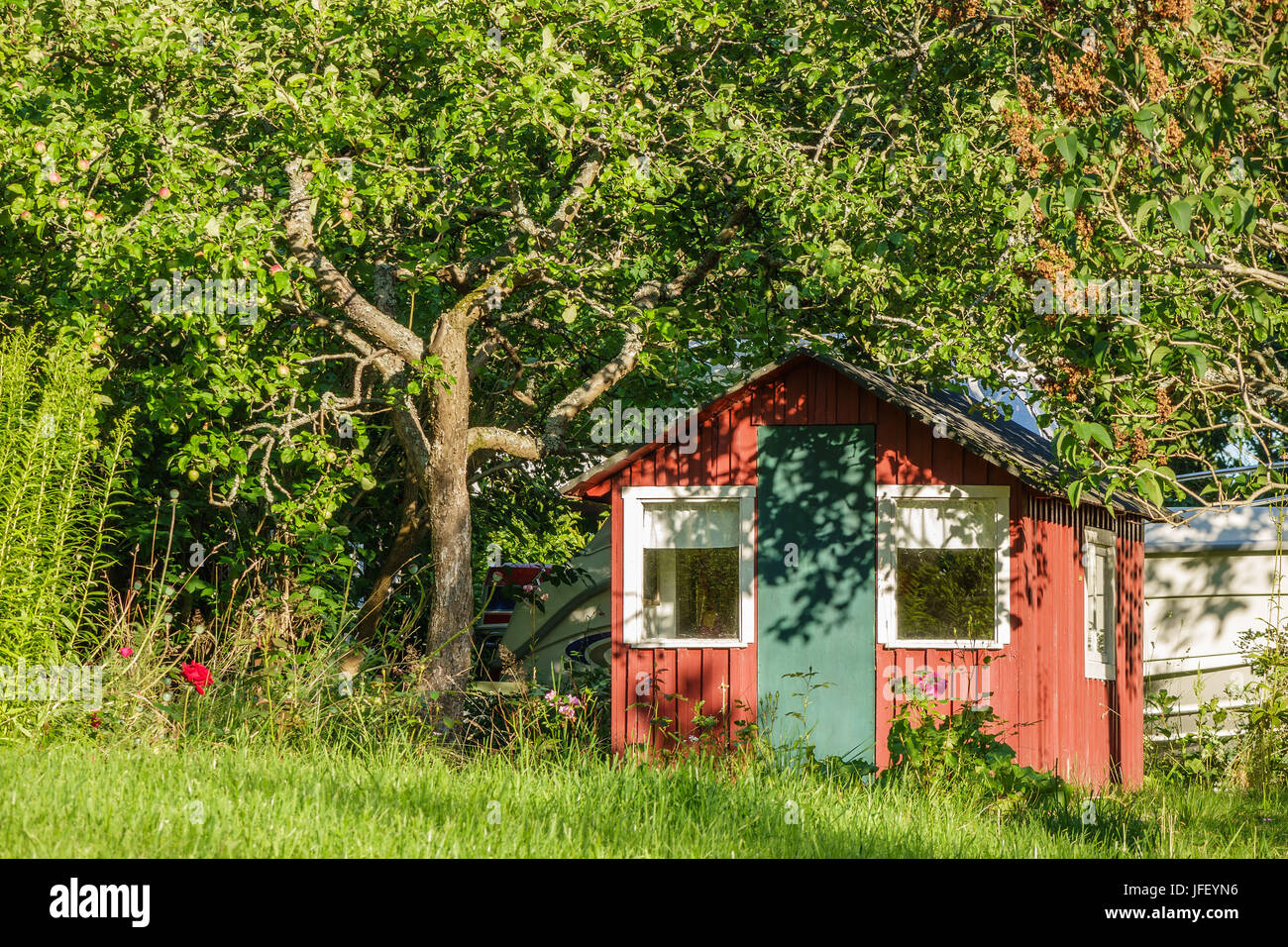 Red wooden house in a garden in Sweden Stock Photo - Alamy