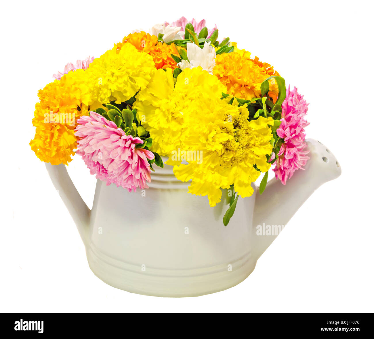Watercan Plant Cut Out Stock Images & Pictures - Alamy