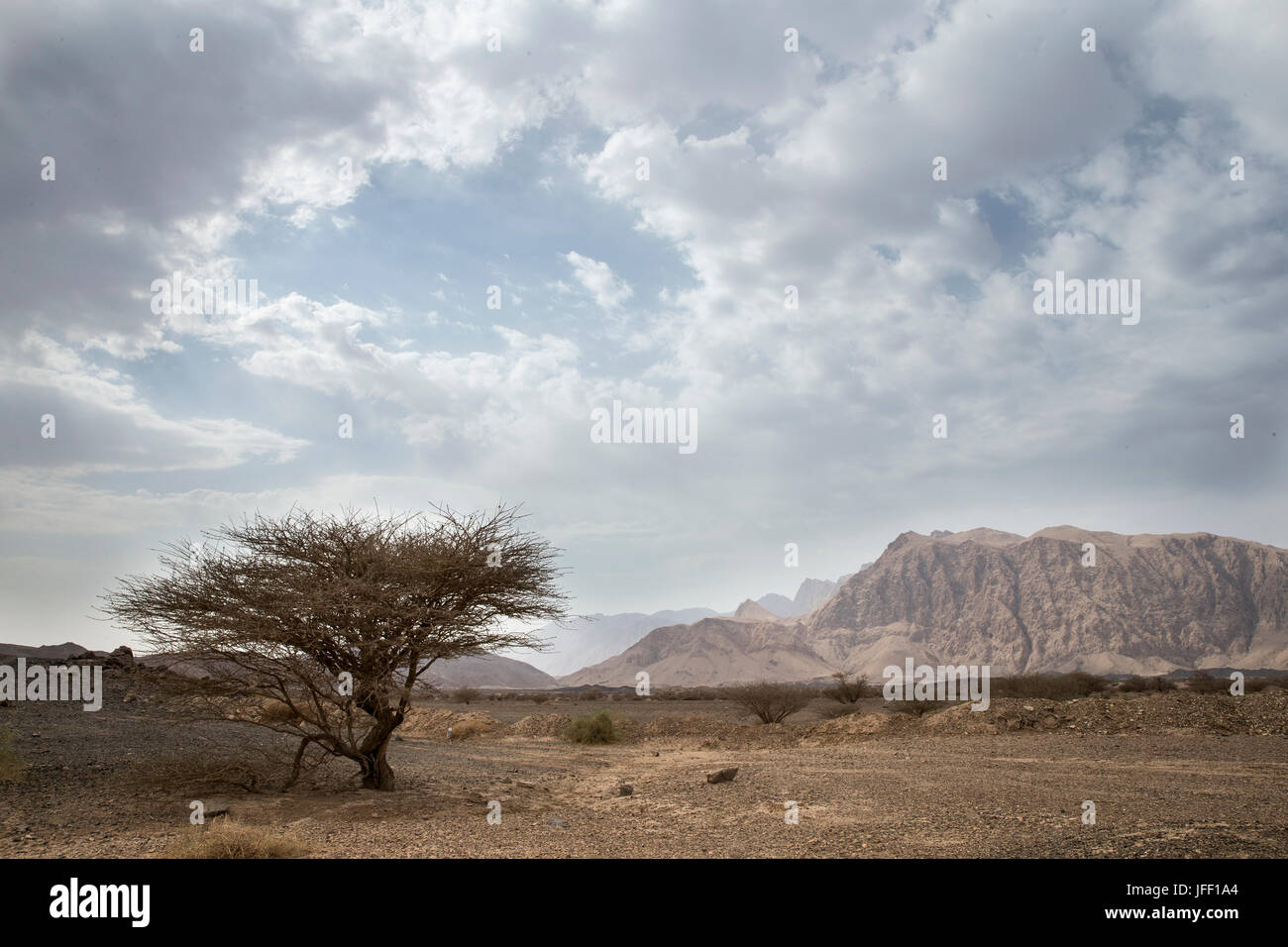 landscape of Hajjar Mountains in Oman Stock Photo - Alamy