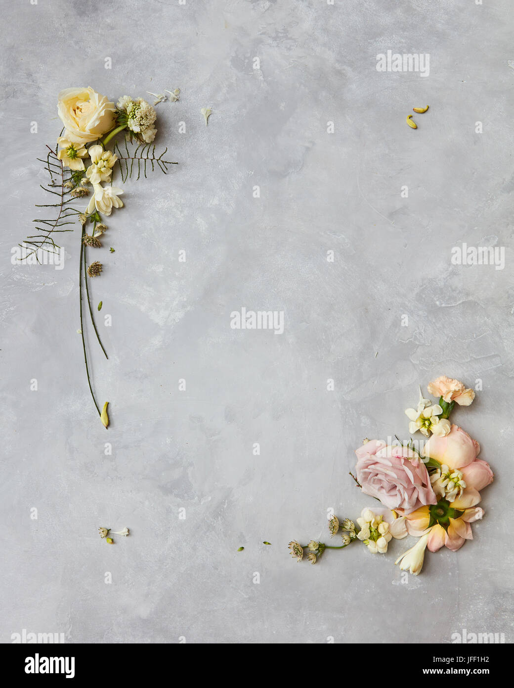 floral frame with roses Stock Photo - Alamy