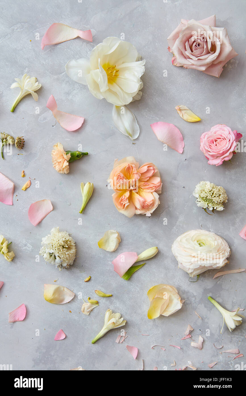 background of flowers Stock Photo - Alamy